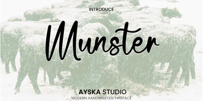 Munster Font | Webfont & Desktop | MyFonts
