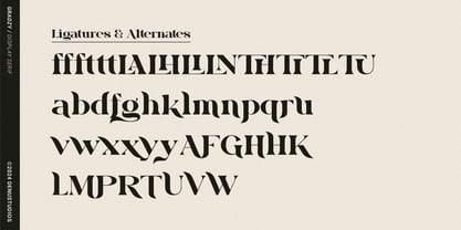 Gradzy Font | Webfont & Desktop | MyFonts