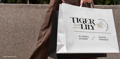 Gradzy Font | Webfont & Desktop | MyFonts