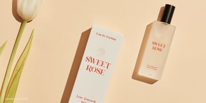 Gradzy Font | Webfont & Desktop | MyFonts