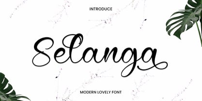 Selanga Font | Webfont & Desktop | MyFonts