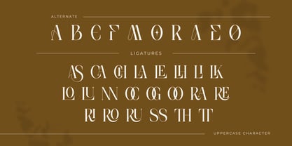 Mahek Font | Webfont & Desktop | MyFonts