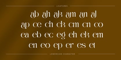 Mahek Font | Webfont & Desktop | MyFonts