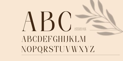 Mahek Font | Webfont & Desktop | MyFonts