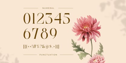 Mahek Font | Webfont & Desktop | MyFonts