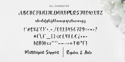 Abitha Font | Webfont & Desktop | MyFonts