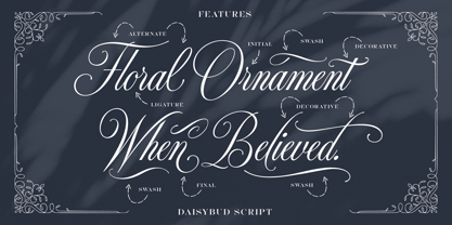 Daisybud Script Font | Webfont & Desktop | MyFonts