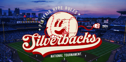 Boost Player Font | Webfont & Desktop | MyFonts