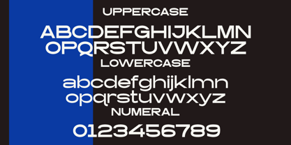 Dismantle Font | Webfont & Desktop | MyFonts