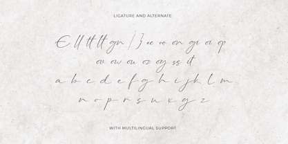 Origin Signature Font | Webfont & Desktop | MyFonts