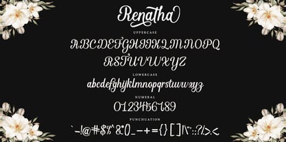 Renatha Font | Webfont & Desktop | MyFonts