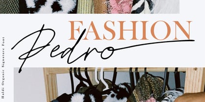 Haldi Font | Webfont & Desktop | MyFonts