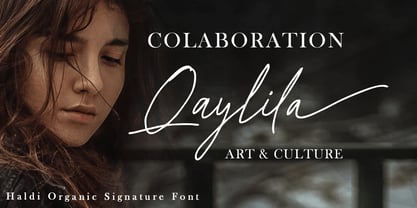 Haldi Font | Webfont & Desktop | MyFonts