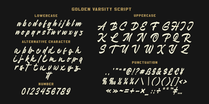 Golden Varsity Font | Webfont & Desktop | MyFonts