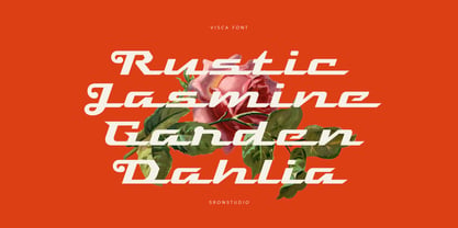Visca Font | Webfont & Desktop | MyFonts