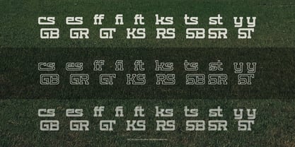 Roaring Tribune Outline Font | Webfont & Desktop | MyFonts