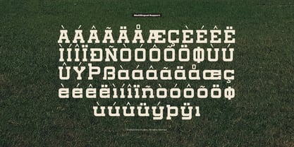 Roaring Tribune Outline Font | Webfont & Desktop | MyFonts