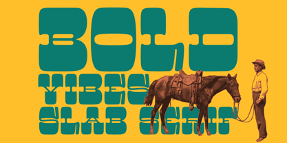 Round Timber Font | Webfont & Desktop | MyFonts