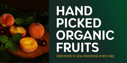 Amras Font | Webfont & Desktop | MyFonts