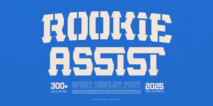 Rookie Assist Font | Webfont & Desktop | MyFonts