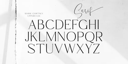 Marie Cortney Font | Webfont & Desktop | MyFonts