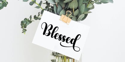Masterday Script Font | Webfont & Desktop | MyFonts