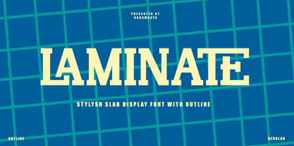 Laminate Font | Webfont & Desktop | MyFonts