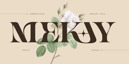 Mekay Vintage Font | Webfont & Desktop | MyFonts
