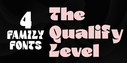 The Quality Level Font | Webfont & Desktop | MyFonts