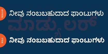 Shree Kannada 1447 Font | Webfont & Desktop | MyFonts