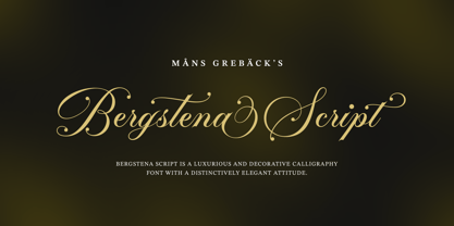 Bergstena Script Font | Webfont & Desktop | MyFonts