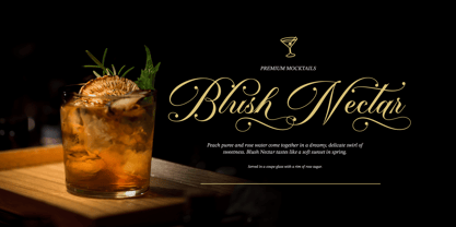 Bergstena Script Font | Webfont & Desktop | MyFonts