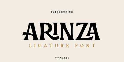 Arinza Font | Webfont & Desktop | MyFonts