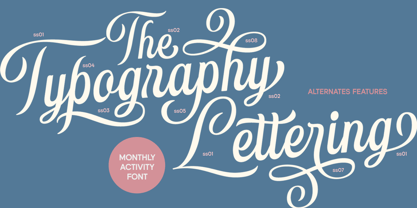 Monthly Activity Font | Webfont & Desktop | MyFonts