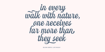 Monthly Activity Font | Webfont & Desktop | MyFonts