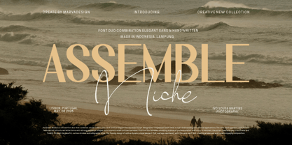 Assemble Niche Font | Webfont & Desktop | MyFonts