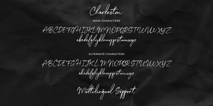 Charleston Font | Webfont & Desktop | MyFonts