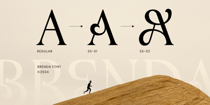Brenda SS Font | Webfont & Desktop | MyFonts