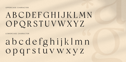 Brenda SS Font | Webfont & Desktop | MyFonts