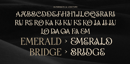 Brenda SS Font | Webfont & Desktop | MyFonts