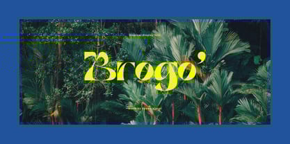 Brogo Font | Webfont & Desktop | MyFonts