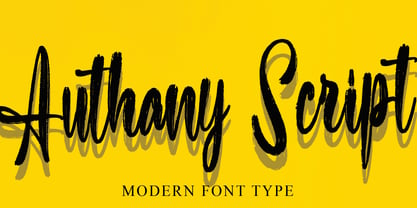 Authany Script Font | Webfont & Desktop | MyFonts