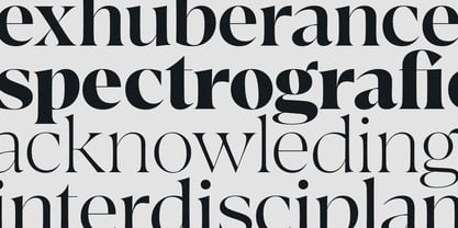 Crave Fine Font | Webfont & Desktop | MyFonts