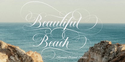 Elemental Calligraphy Font | Webfont & Desktop | MyFonts