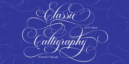Elemental Calligraphy Font | Webfont & Desktop | MyFonts