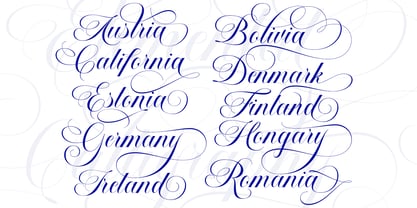 Elemental Calligraphy Font | Webfont & Desktop | MyFonts