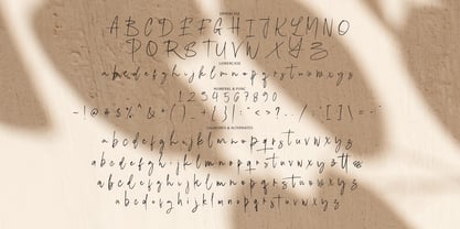 Melodia Signature Font | Webfont & Desktop | MyFonts