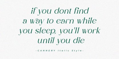 CANNERY Display Font | Webfont & Desktop | MyFonts