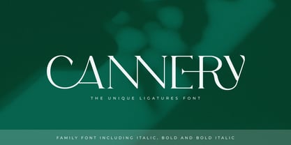 CANNERY Display Font | Webfont & Desktop | MyFonts