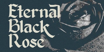 Qimorla Font | Webfont & Desktop | MyFonts